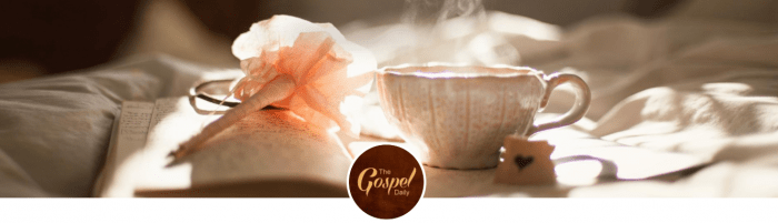 Perfect Patreon Banner Size: [Examples & Best Practices]