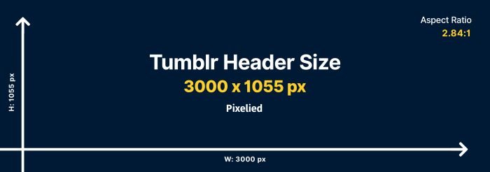 The Perfect Tumblr Header Size & Examples [2022 Update]
