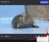 8 Best GIF Sites to Make Viral Memes (+free)