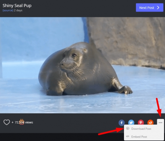 8 Best GIF Sites to Make Viral Memes (+free)