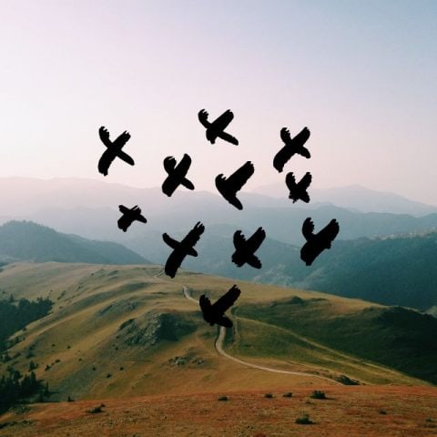 What is the Recommended Spotify Cover Art Size? [With Best Practices]