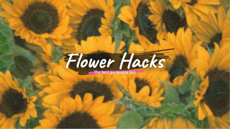 20+ Best YouTube Banner Ideas for Inspiration [With Examples]