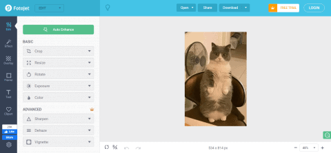 Top PicMonkey Alternative To Try in 2021 [+8 More]